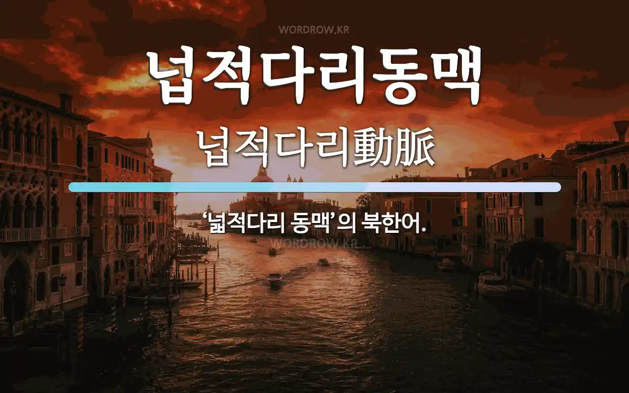 넙적다리동맥 뜻 ‘넓적다리 동맥의 북한어