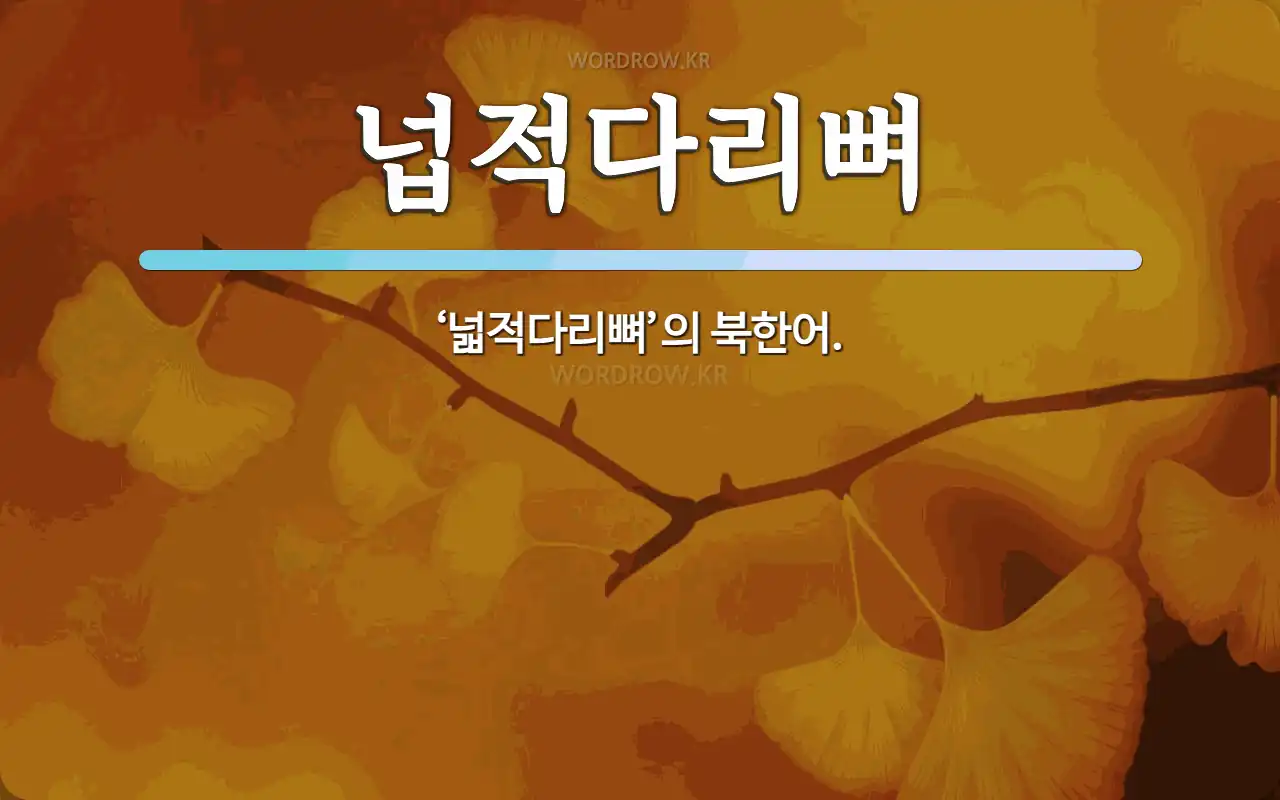 넙적다리뼈 뜻 ‘넓적다리뼈의 북한어