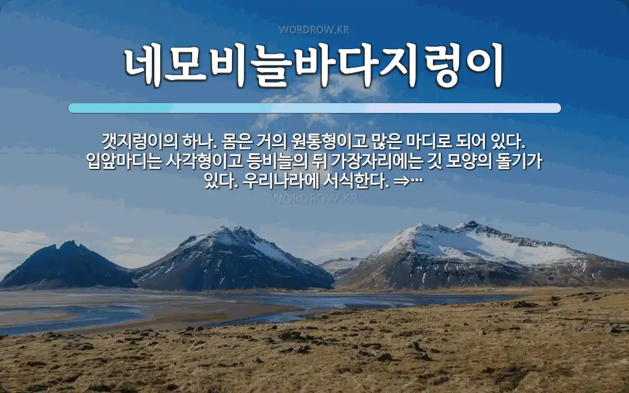 네모비늘바다지렁이 뜻 갯지렁이의 하나 몸은 거의 원통형이고 많은 마디로 되어 있다 입앞마디는 사각형이고 등비
