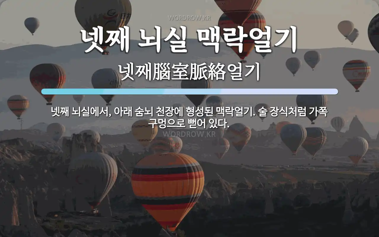 넷째 뇌실 맥락얼기 뜻 넷째 뇌실에서 아래 숨뇌 천장에 형성된 맥락얼기 술 장식처럼 가쪽 구멍으로 뻗어 있다