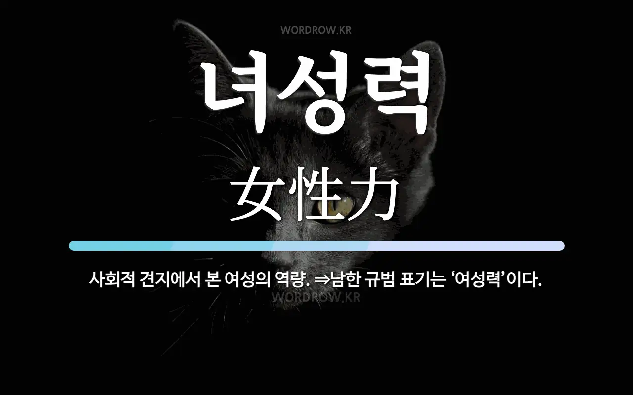 녀성력 뜻 사회적 견지에서 본 여성의 역량 ⇒남한 규범 표기는 ‘여성력이다