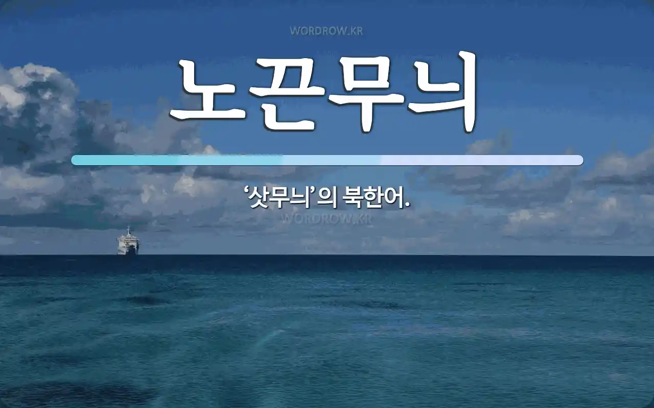 노끈무늬 뜻 ‘삿무늬의 북한어