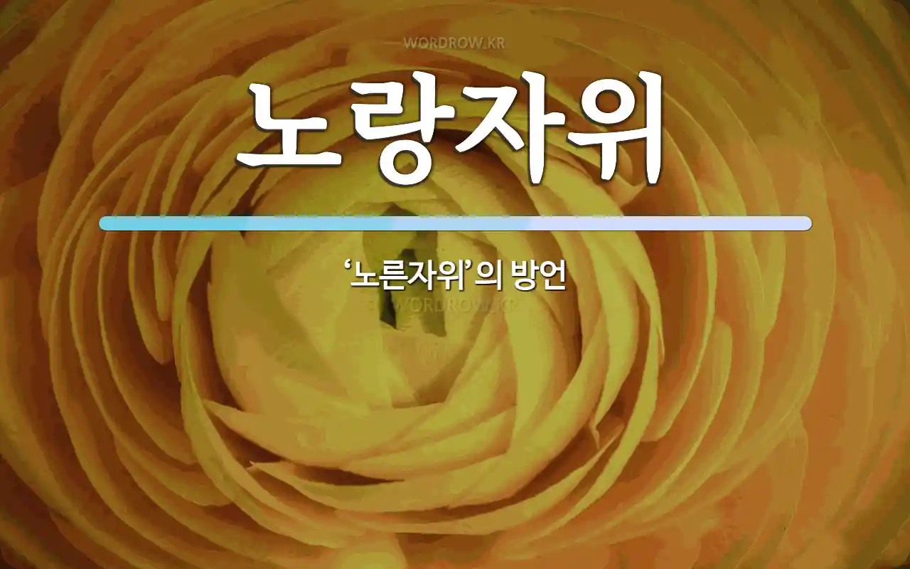 노랑자위 뜻 ‘노른자위의 방언