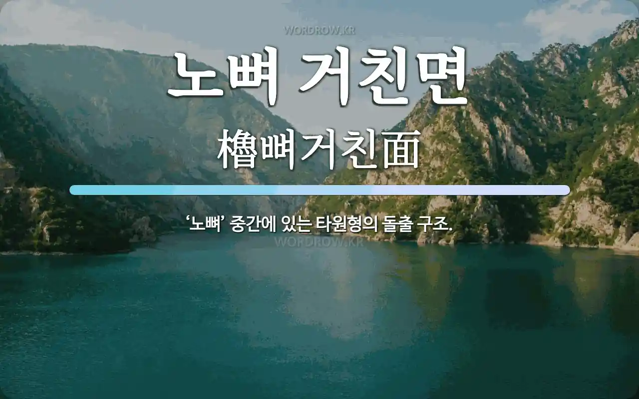 노뼈 거친면 뜻 ‘노뼈 중간에 있는 타원형의 돌출 구조