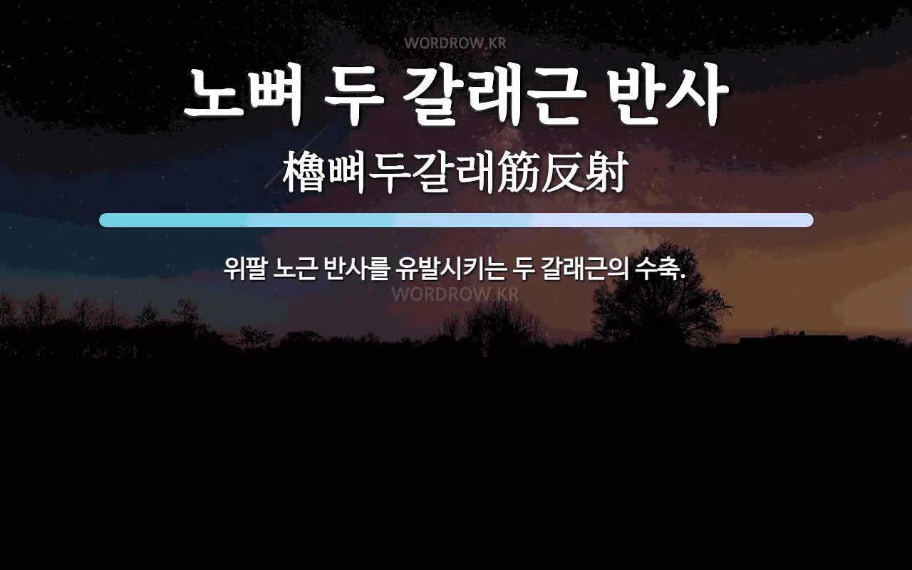 노뼈 두 갈래근 반사 뜻 위팔 노근 반사를 유발시키는 두 갈래근의 수축