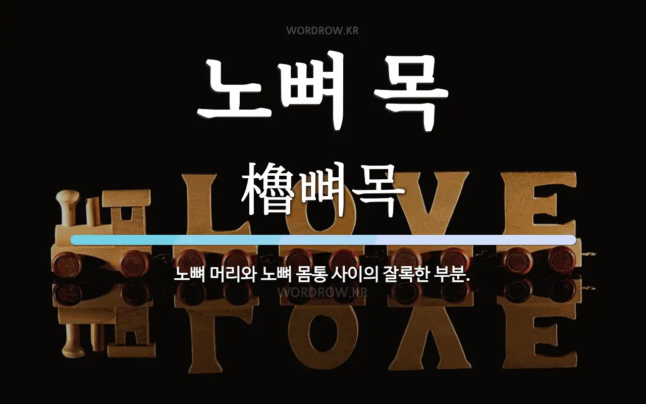 노뼈 목 뜻 노뼈 머리와 노뼈 몸통 사이의 잘록한 부분