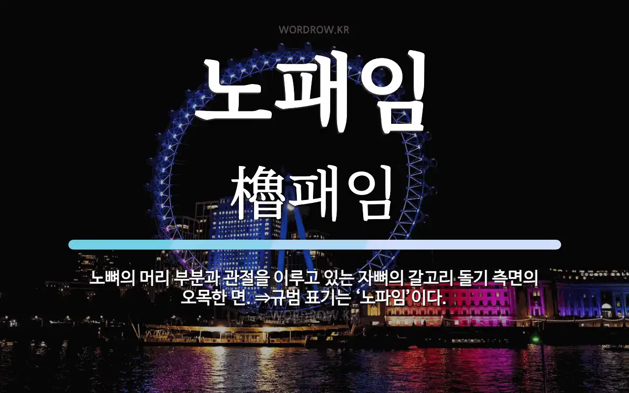 노패임 뜻 노뼈의 머리 부분과 관절을 이루고 있는 자뼈의 갈고리 돌기 측면의 오목한 면 ⇒규범 표기