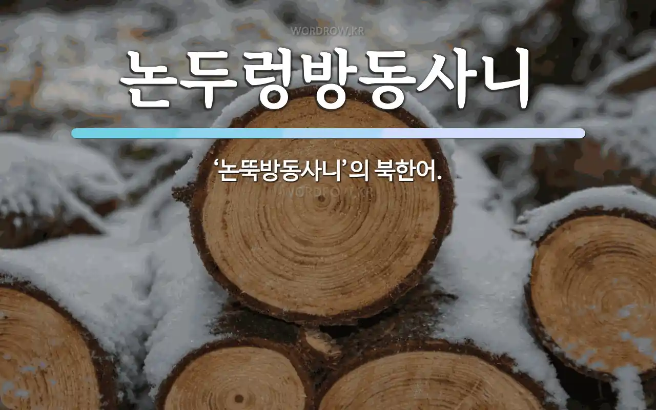 논두렁방동사니 뜻 ‘논뚝방동사니의 북한어