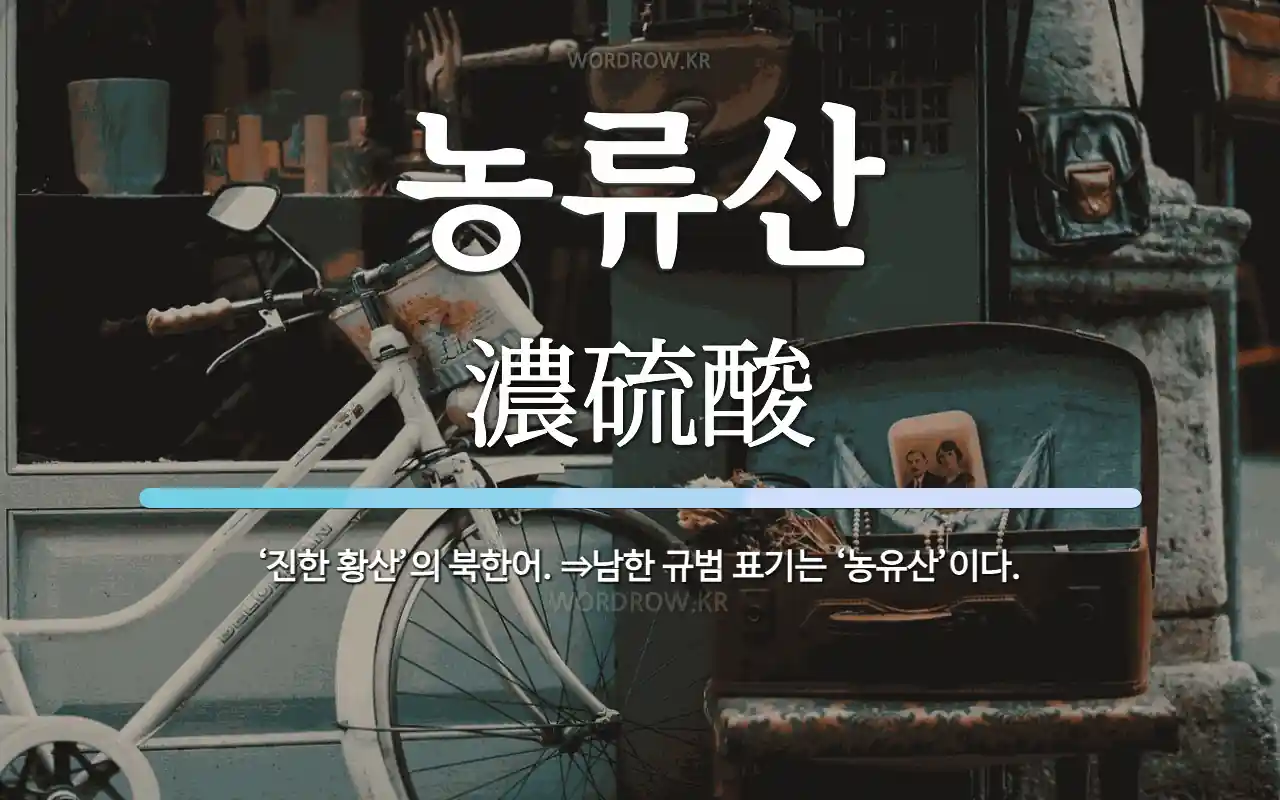 농류산 뜻 ‘진한 황산의 북한어 ⇒남한 규범 표기는 ‘농유산이다