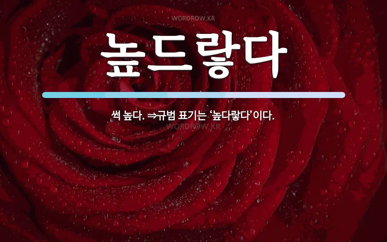 높드랗다 뜻 썩 높다 ⇒규범 표기는 ‘높다랗다이다