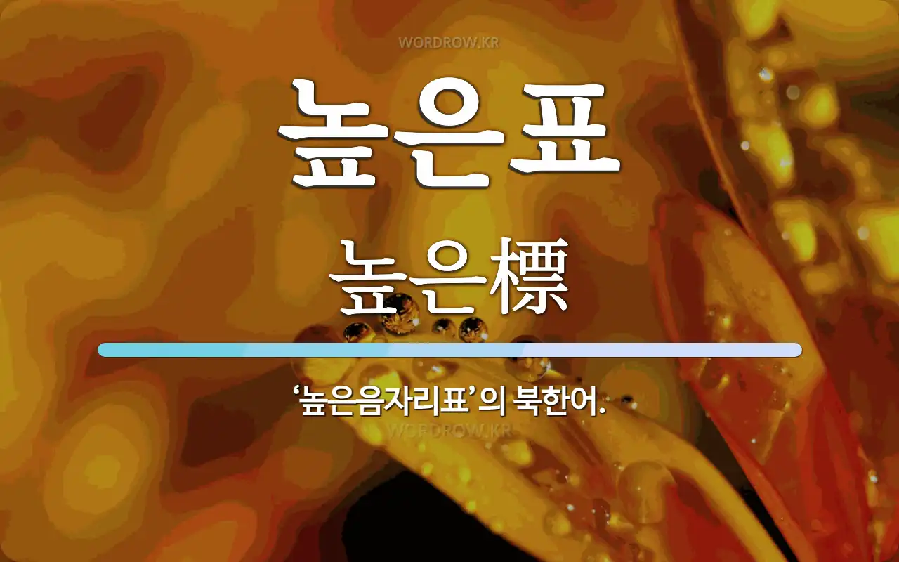 높은표 뜻 ‘높은음자리표의 북한어