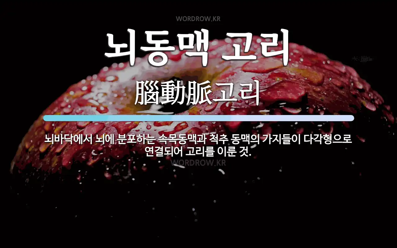 뇌동맥 고리 뜻 뇌바닥에서 뇌에 분포하는 속목동맥과 척추 동맥의 가지들이 다각형으로 연결되어 고리를 이룬