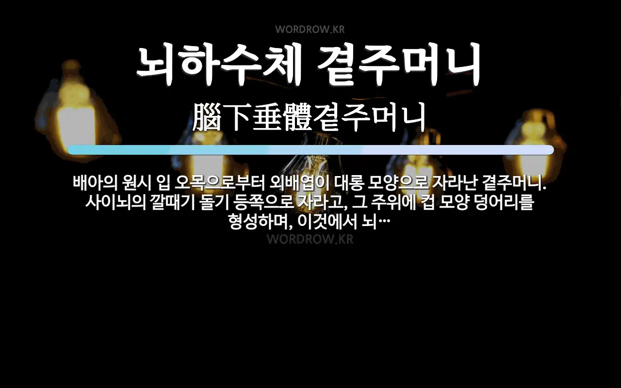 뇌하수체 곁주머니 뜻 배아의 원시 입 오목으로부터 외배엽이 대롱 모양으로 자라난 곁주머니 사이뇌의 깔때기 돌기
