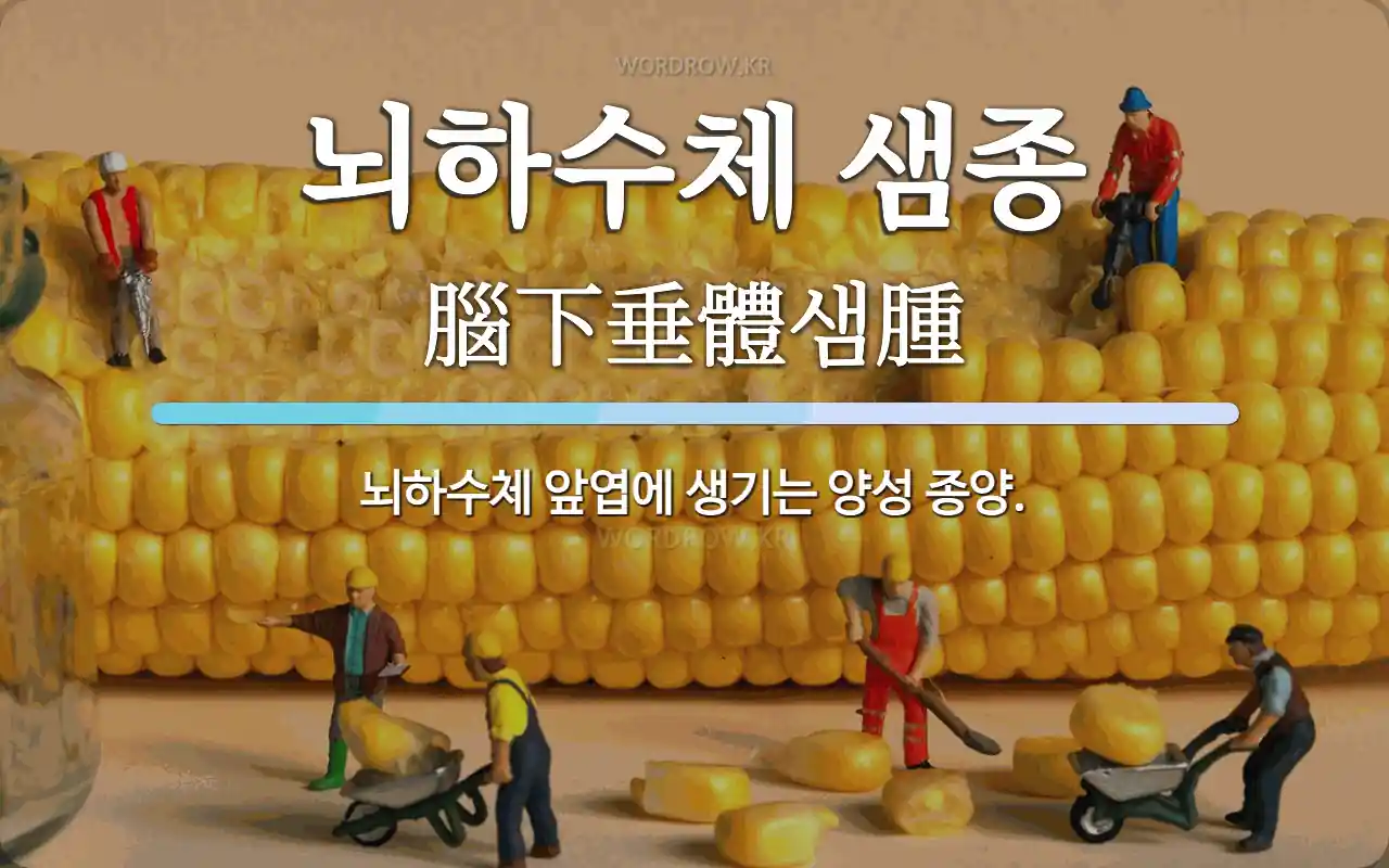 뇌하수체 샘종 뜻 뇌하수체 앞엽에 생기는 양성 종양