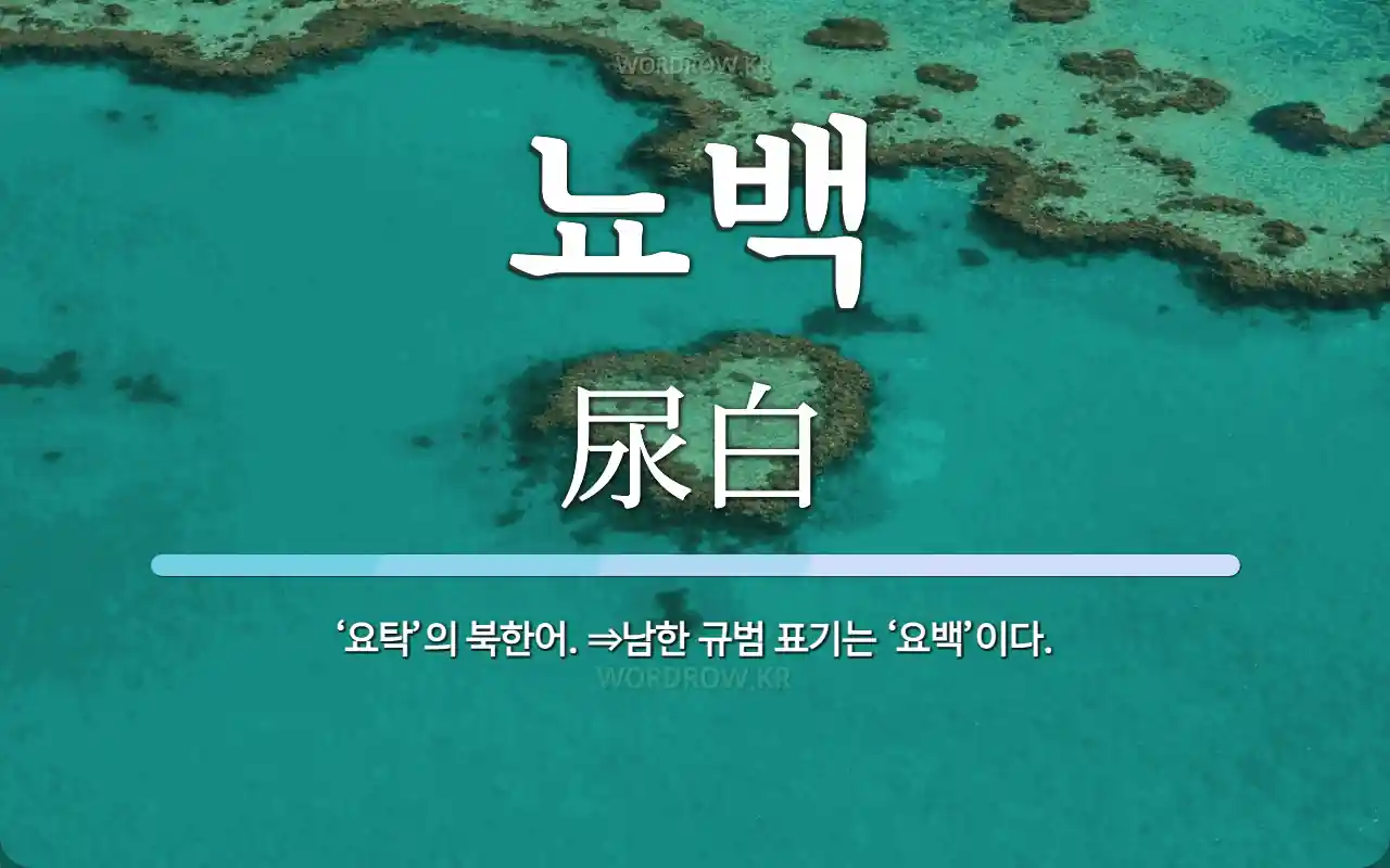 뇨백 뜻 ‘요탁의 북한어 ⇒남한 규범 표기는 ‘요백이다