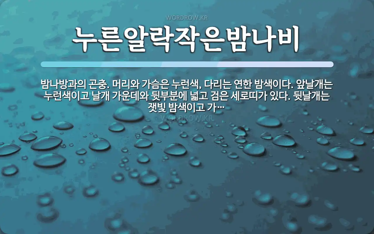 누른알락작은밤나비 뜻 밤나방과의 곤충 머리와 가슴은 누런색 다리는 연한 밤색이다 앞날개는 누런색이고 날개