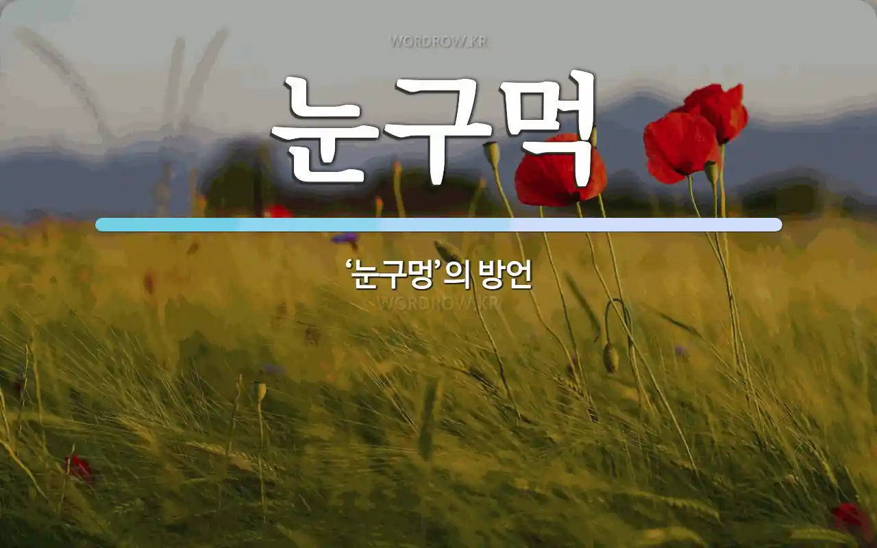눈구먹 뜻 ‘눈구멍의 방언