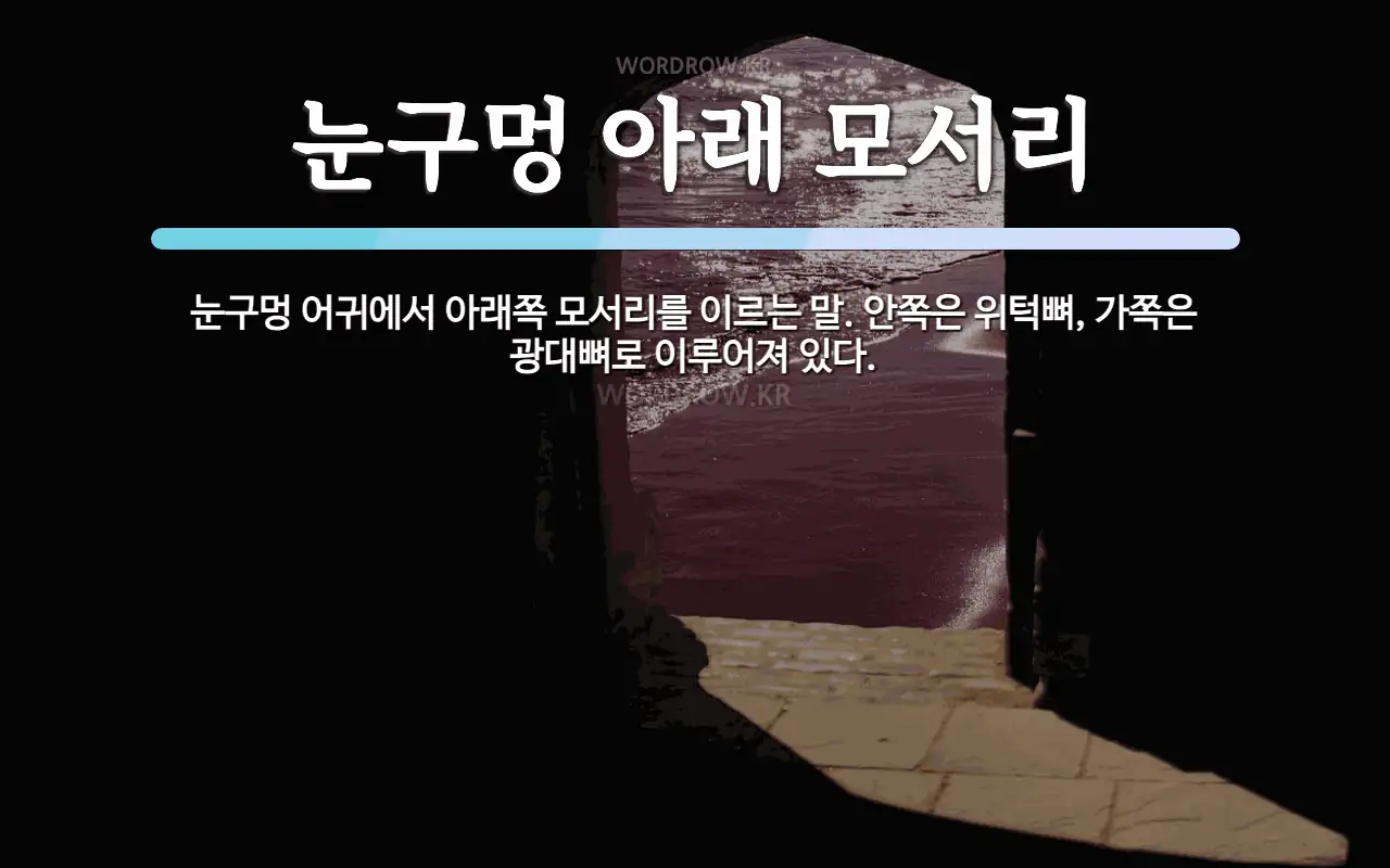 눈구멍 아래 모서리 뜻 눈구멍 어귀에서 아래쪽 모서리를 이르는 말 안쪽은 위턱뼈 가쪽은 광대뼈로 이루어져 있다