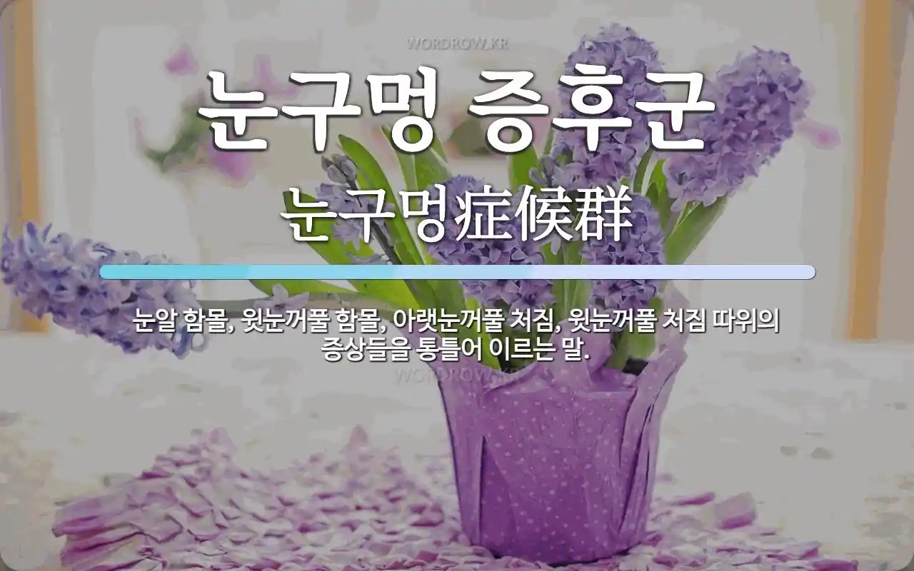 눈구멍 증후군 뜻 눈알 함몰 윗눈꺼풀 함몰 아랫눈꺼풀 처짐 윗눈꺼풀 처짐 따위의 증상들을 통틀어 이르는
