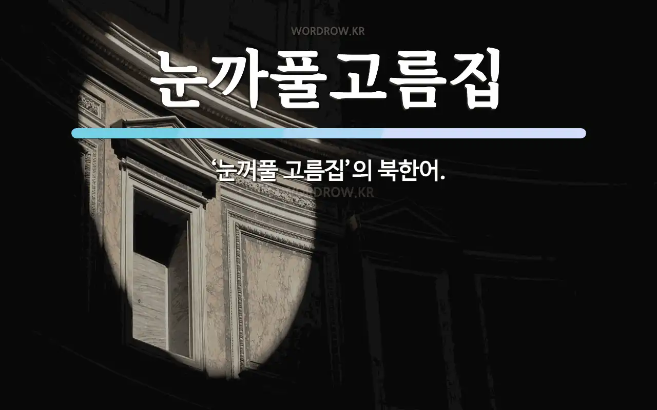 눈까풀고름집 뜻 ‘눈꺼풀 고름집의 북한어