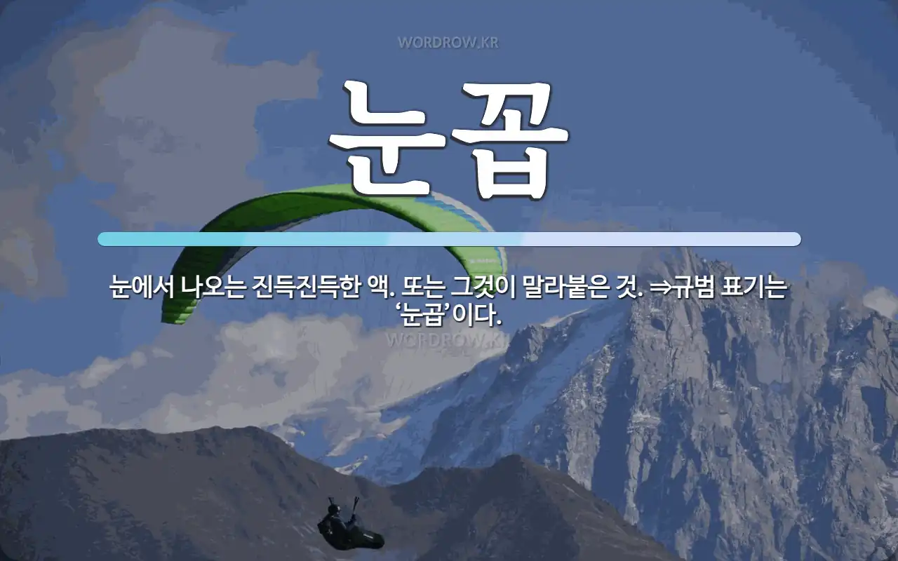 눈꼽 뜻 눈에서 나오는 진득진득한 액 또는 그것이 말라붙은 것 ⇒규범 표기는 ‘눈곱이다
