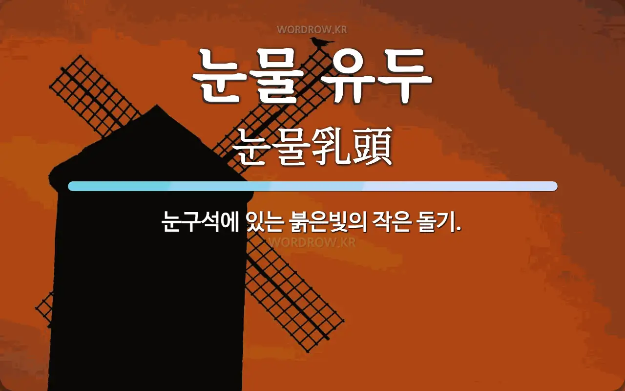 눈물 유두 뜻 눈구석에 있는 붉은빛의 작은 돌기