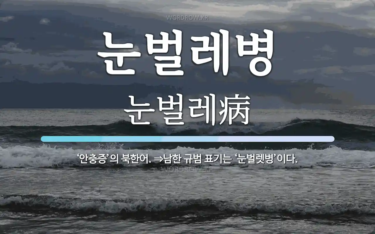 눈벌레병 뜻 ‘안충증의 북한어 ⇒남한 규범 표기는 ‘눈벌렛병이다