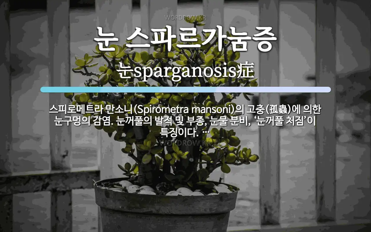 눈 스파르가눔증 뜻 스피로메트라 만소니spirometra Mansoni의 고충孤蟲에 의한 눈구멍의 감염