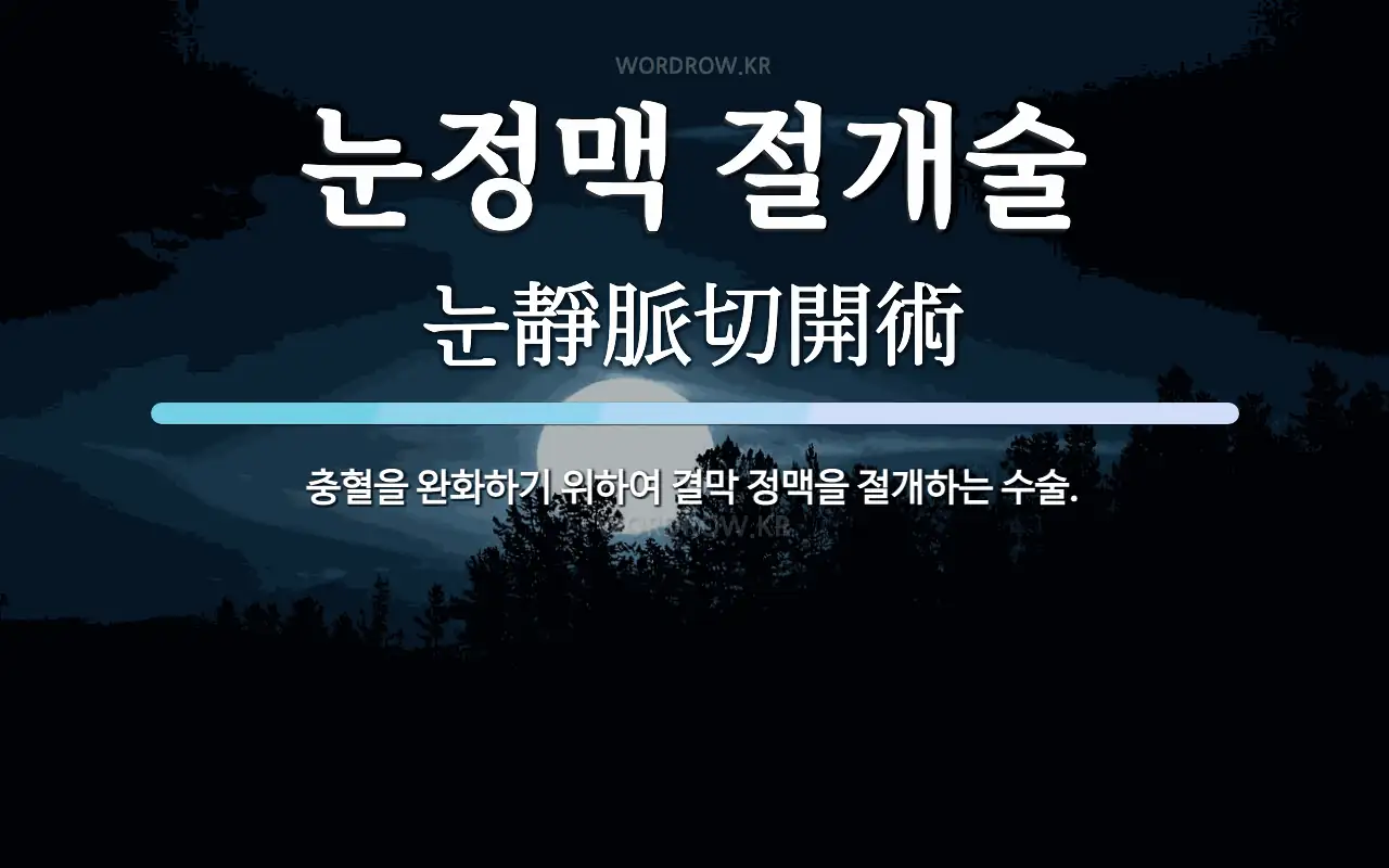 눈정맥 절개술 뜻 충혈을 완화하기 위하여 결막 정맥을 절개하는 수술