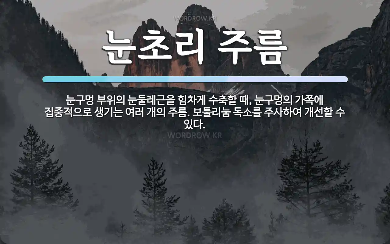 눈초리 주름 뜻 눈구멍 부위의 눈둘레근을 힘차게 수축할 때 눈구멍의 가쪽에 집중적으로 생기는 여러 개의