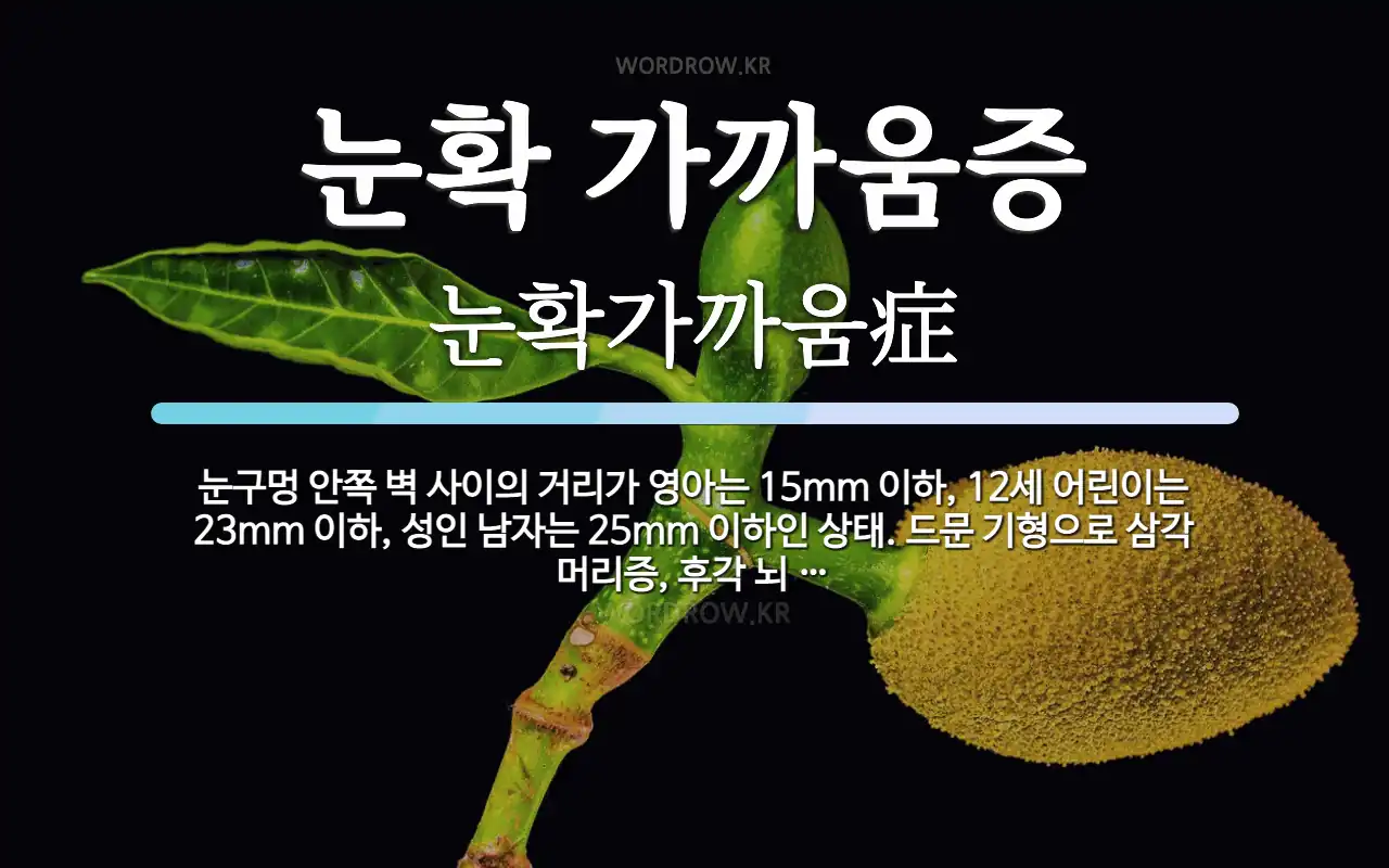눈확 가까움증 뜻 눈구멍 안쪽 벽 사이의 거리가 영아는 15mm 이하 12세 어린이는 23mm 이하 성인