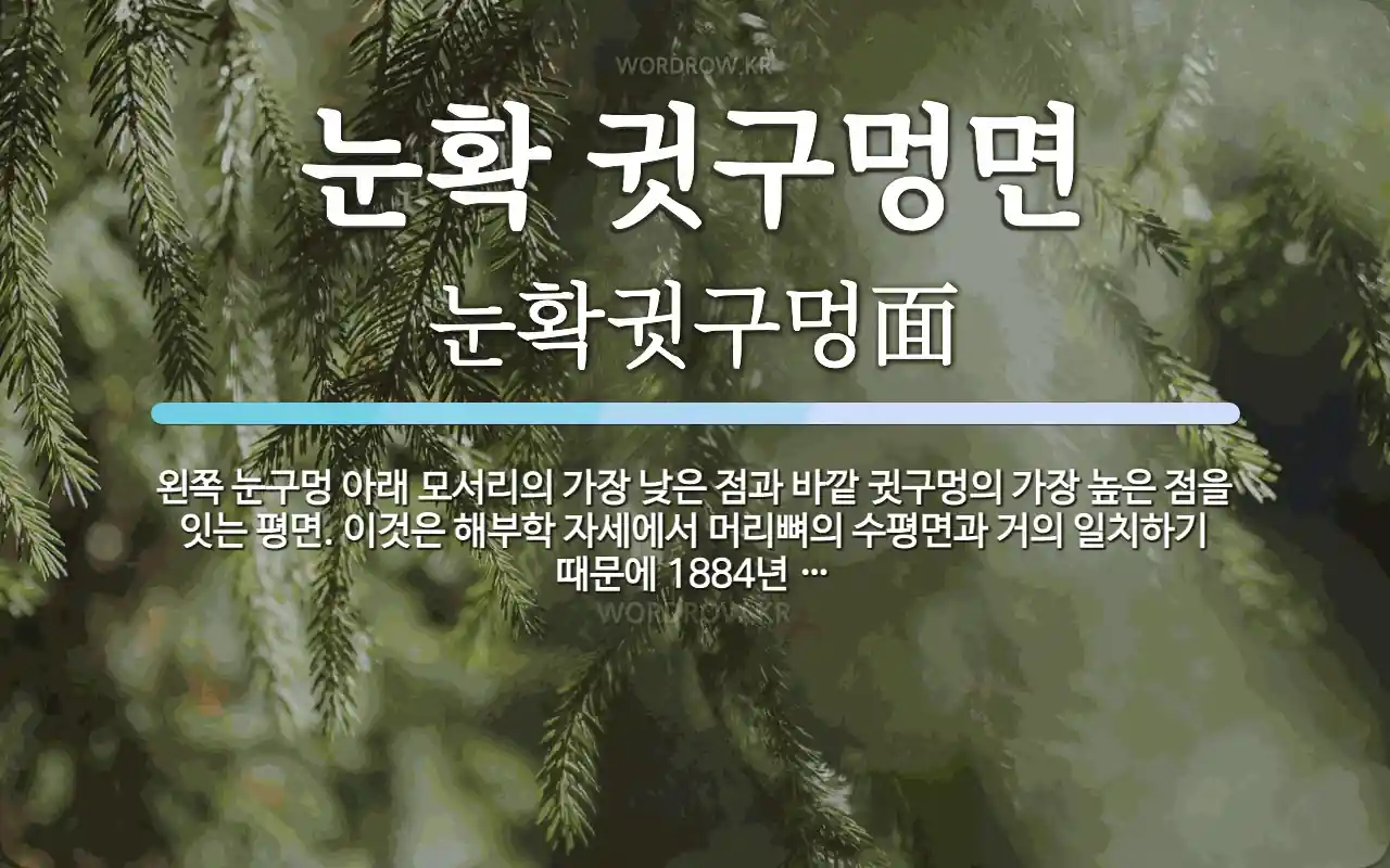 눈확 귓구멍면 뜻 왼쪽 눈구멍 아래 모서리의 가장 낮은 점과 바깥 귓구멍의 가장 높은 점을 잇는 평면 이것