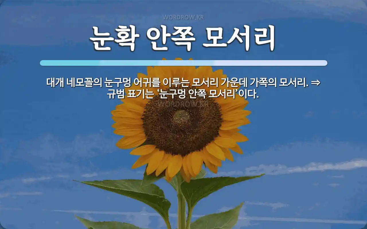 눈확 안쪽 모서리 뜻 대개 네모꼴의 눈구멍 어귀를 이루는 모서리 가운데 가쪽의 모서리 ⇒규범 표기는 ‘눈구멍