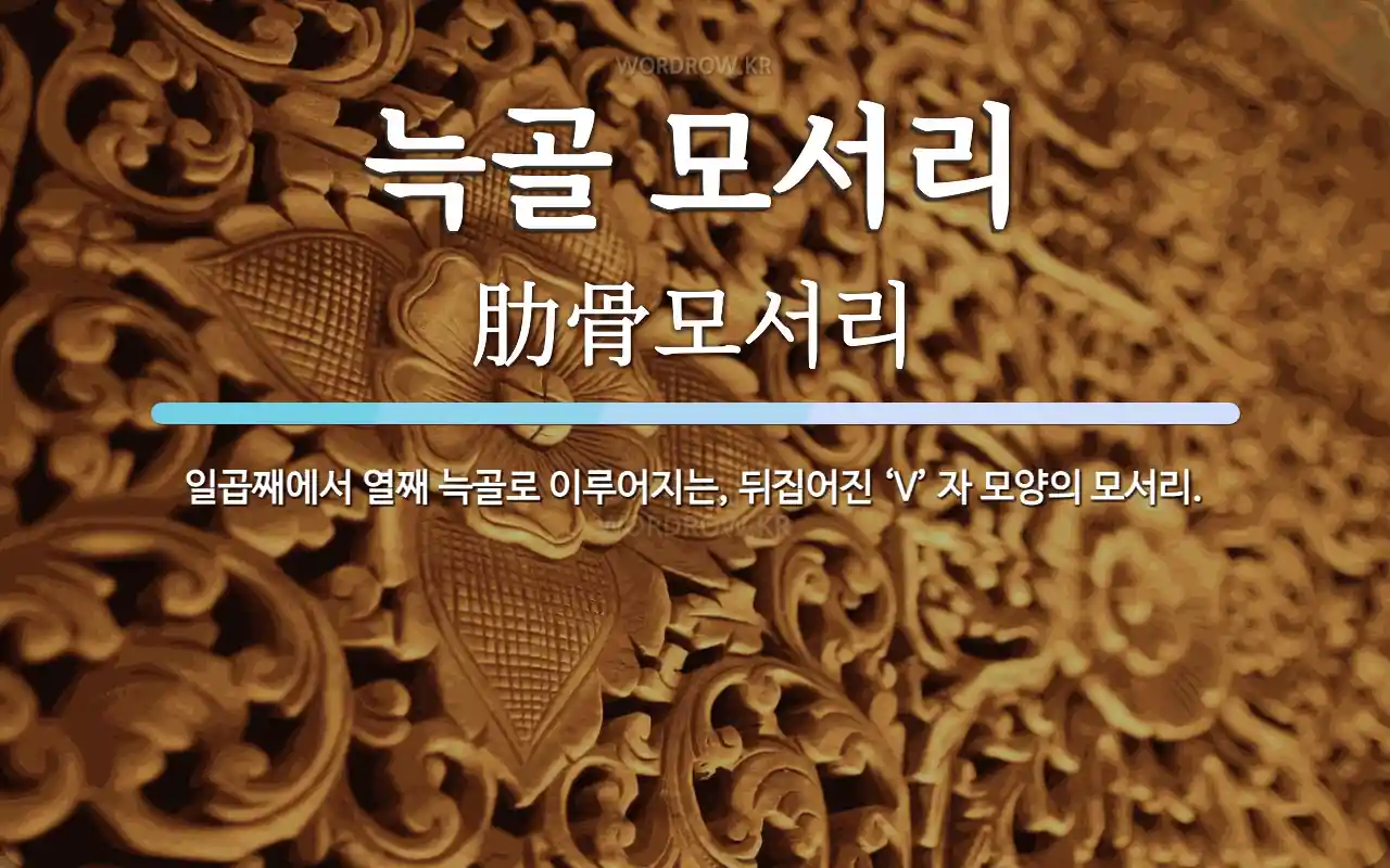 늑골 모서리 뜻 일곱째에서 열째 늑골로 이루어지는 뒤집어진 ‘v 자 모양의 모서리