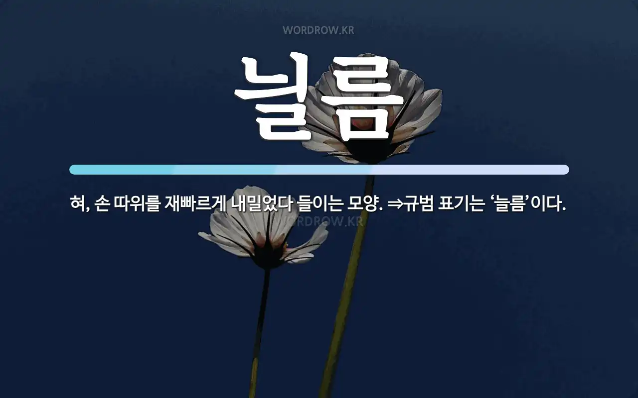 늴름 뜻 혀 손 따위를 재빠르게 내밀었다 들이는 모양 ⇒규범 표기는 ‘늘름이다