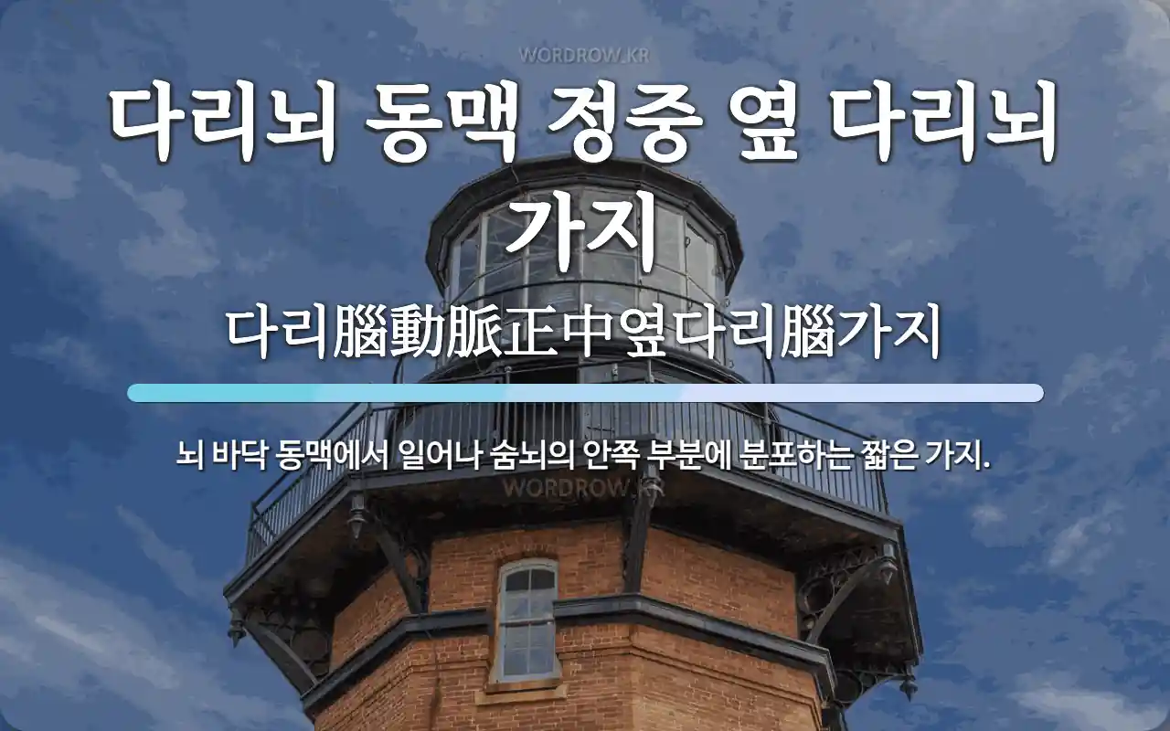 다리뇌 동맥 정중 옆 다리뇌 가지 뜻 뇌 바닥 동맥에서 일어나 숨뇌의 안쪽 부분에 분포하는 짧은 가지
