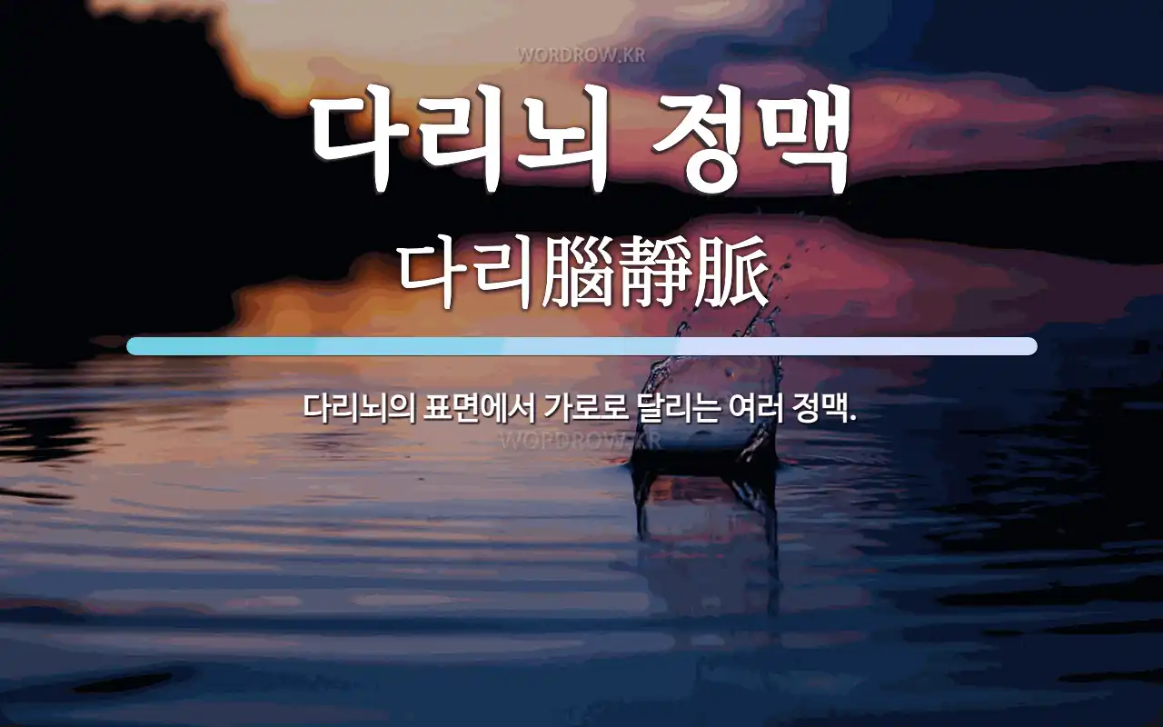 다리뇌 정맥 뜻 다리뇌의 표면에서 가로로 달리는 여러 정맥