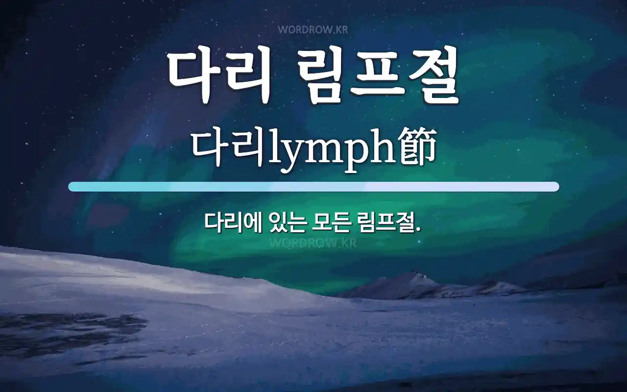 다리 림프절 뜻 다리에 있는 모든 림프절