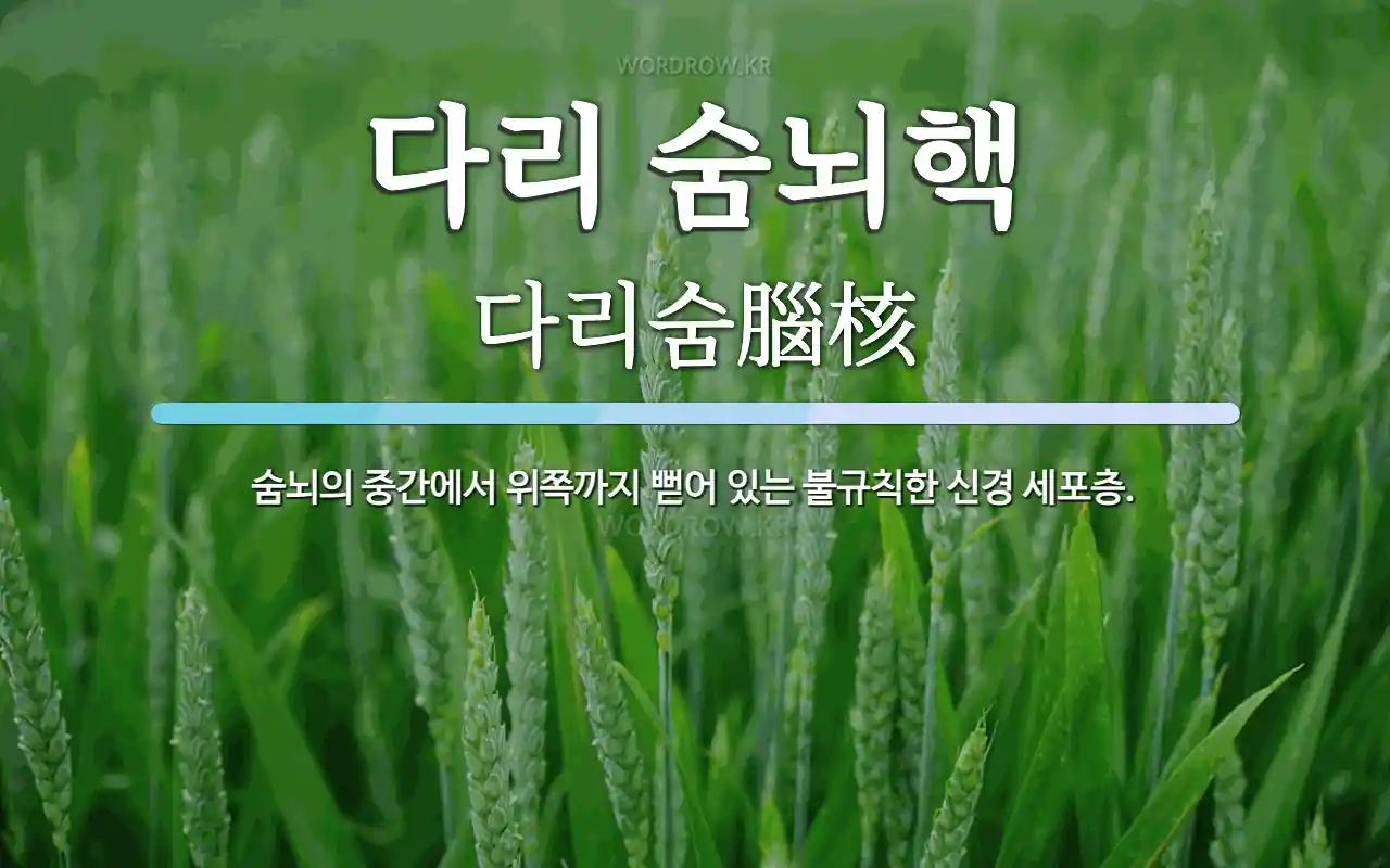 다리 숨뇌핵 뜻 숨뇌의 중간에서 위쪽까지 뻗어 있는 불규칙한 신경 세포층