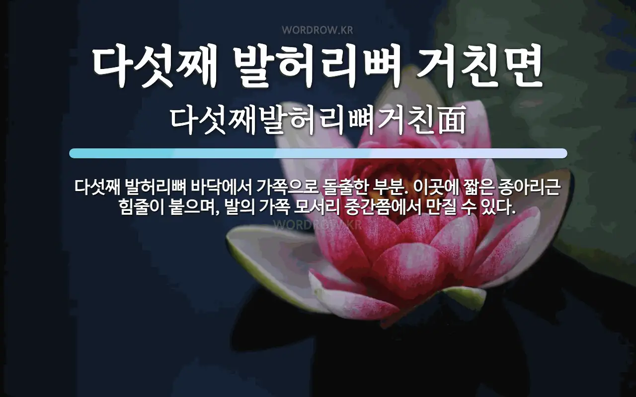 다섯째 발허리뼈 거친면 뜻 다섯째 발허리뼈 바닥에서 가쪽으로 돌출한 부분 이곳에 짧은 종아리근 힘줄이 붙으며 발의