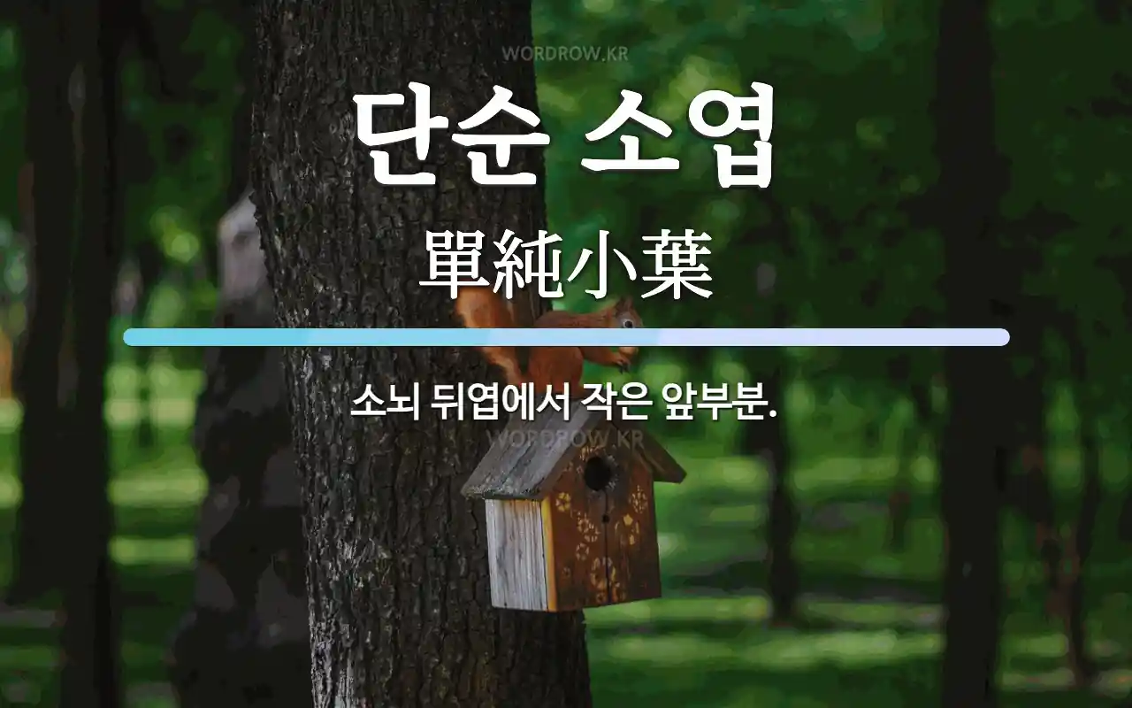 단순 소엽 뜻 소뇌 뒤엽에서 작은 앞부분