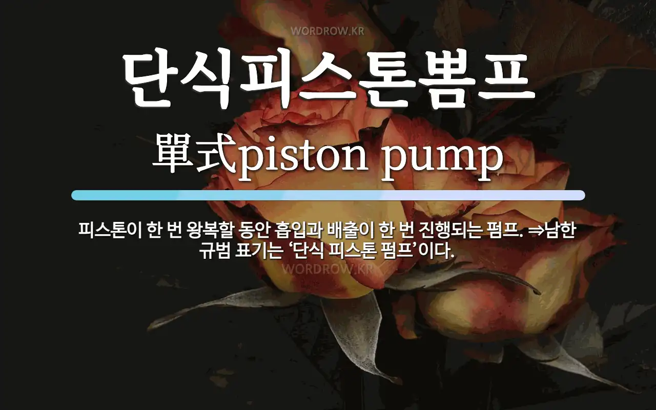 단식피스톤뽐프 뜻 피스톤이 한 번 왕복할 동안 흡입과 배출이 한 번 진행되는 펌프 ⇒남한 규범 표기는 ‘단