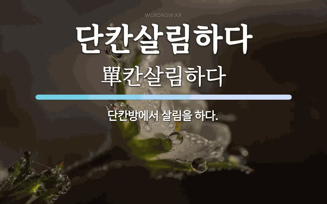 단칸살림하다 뜻 단칸방에서 살림을 하다