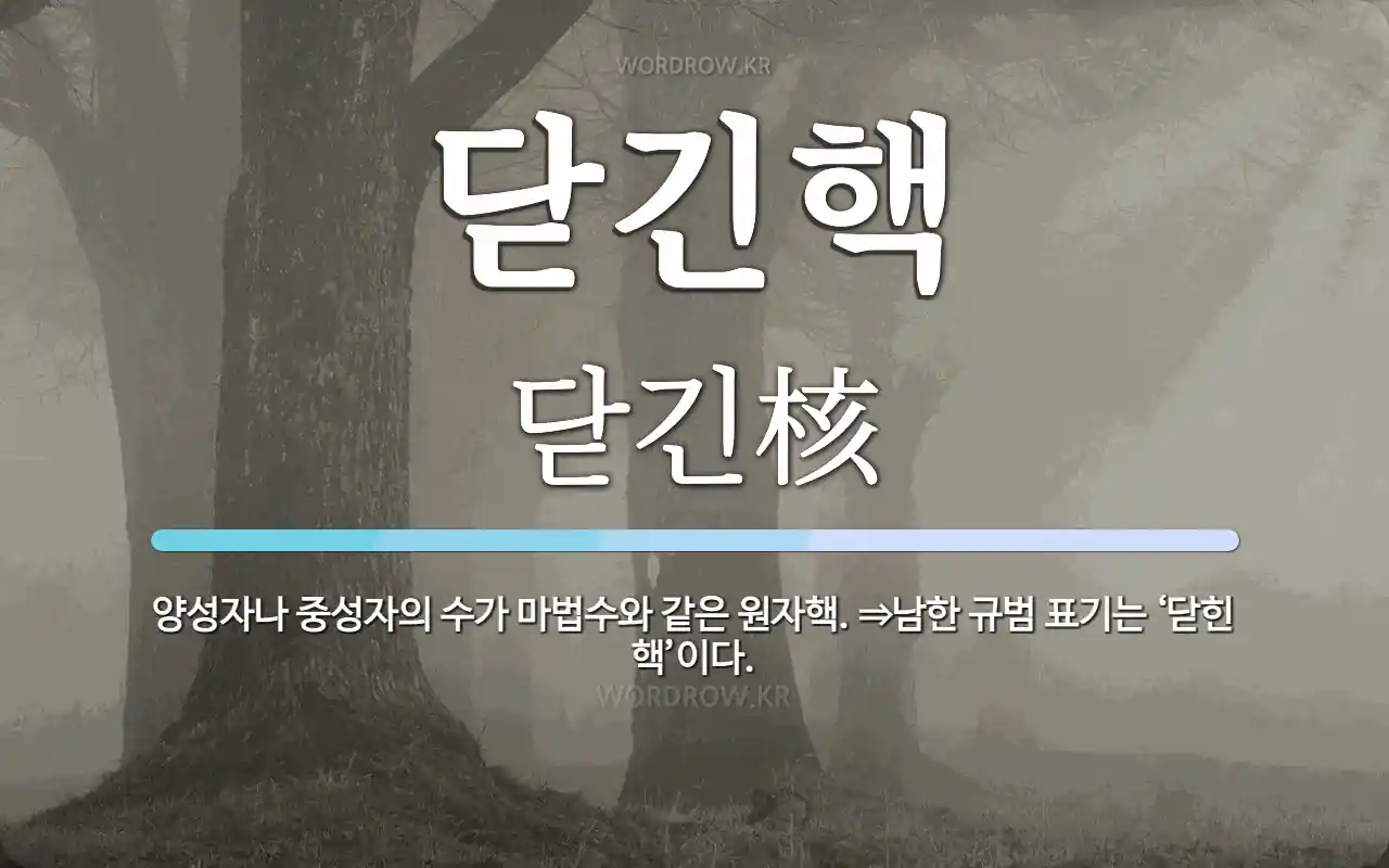 닫긴핵 뜻 양성자나 중성자의 수가 마법수와 같은 원자핵 ⇒남한 규범 표기는 ‘닫힌 핵이다