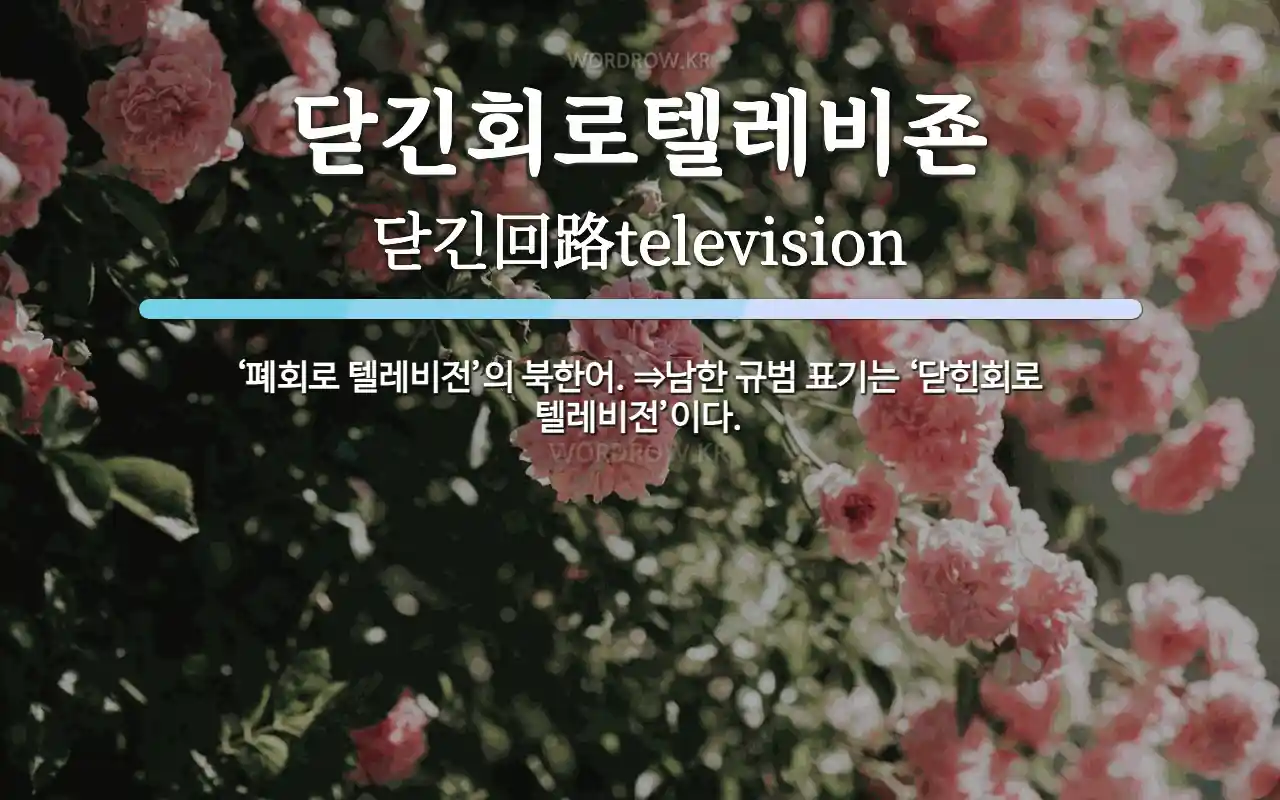 닫긴회로텔레비죤 뜻 ‘폐회로 텔레비전의 북한어 ⇒남한 규범 표기는 ‘닫힌회로 텔레비전이다