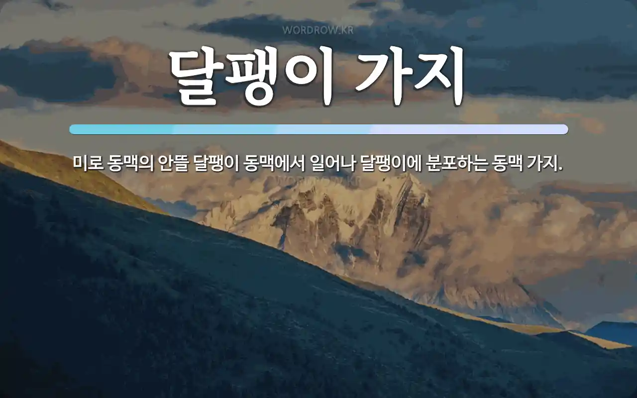 달팽이 가지 뜻 미로 동맥의 안뜰 달팽이 동맥에서 일어나 달팽이에 분포하는 동맥 가지