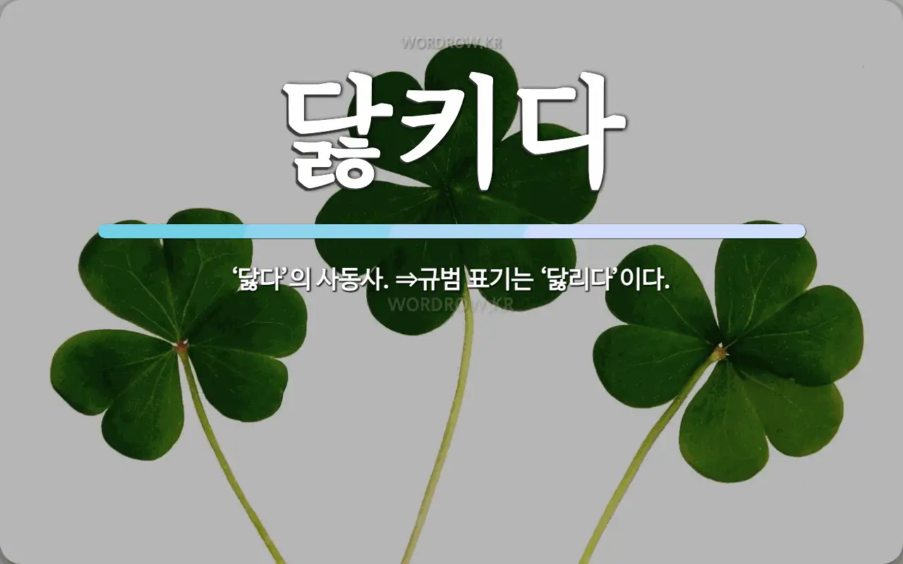 닳키다 뜻 ‘닳다의 사동사 ⇒규범 표기는 ‘닳리다이다