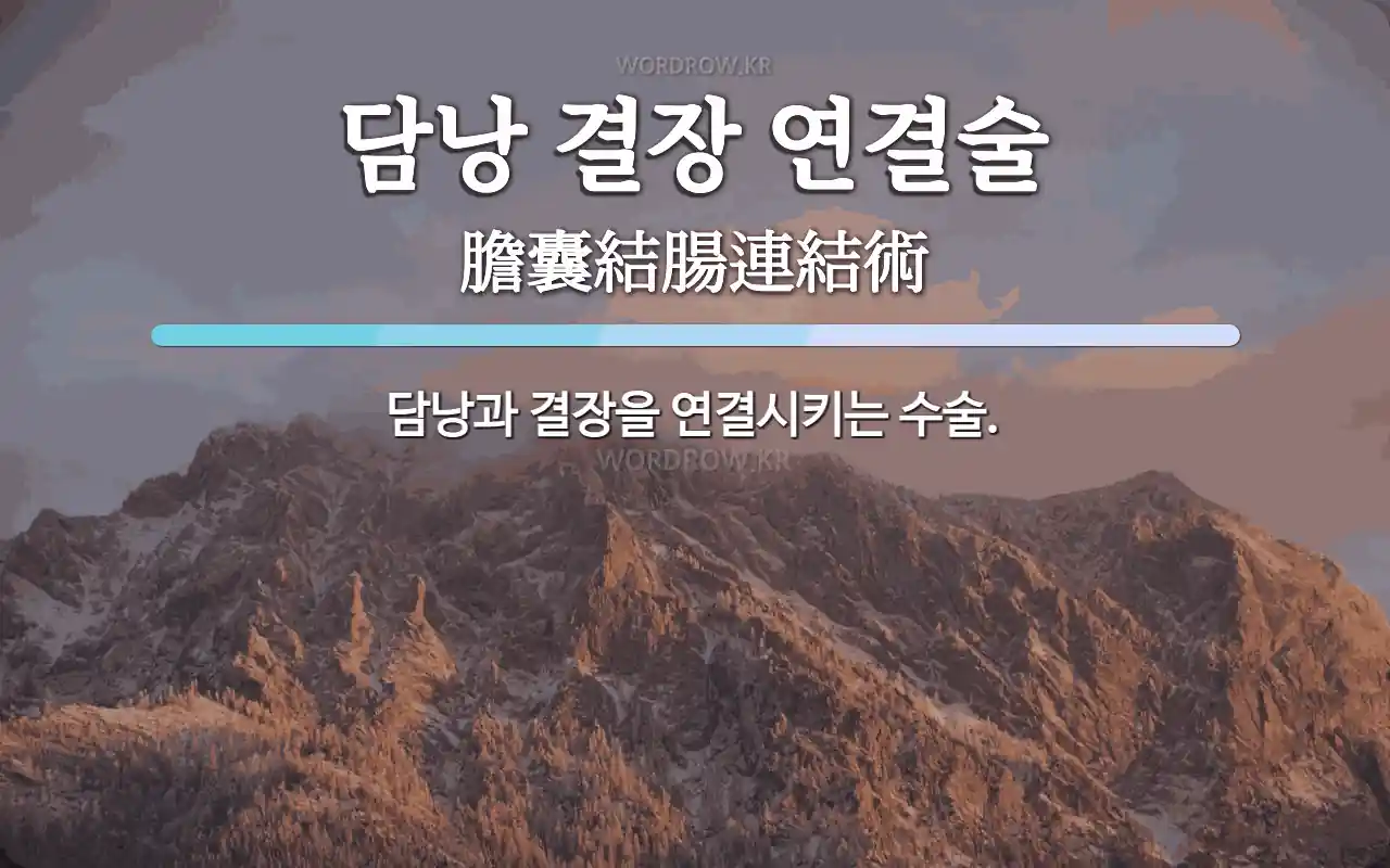 담낭 결장 연결술 뜻 담낭과 결장을 연결시키는 수술
