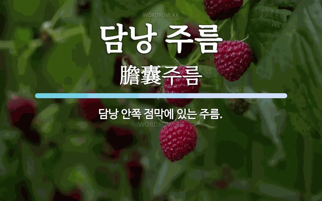담낭 주름 뜻 담낭 안쪽 점막에 있는 주름