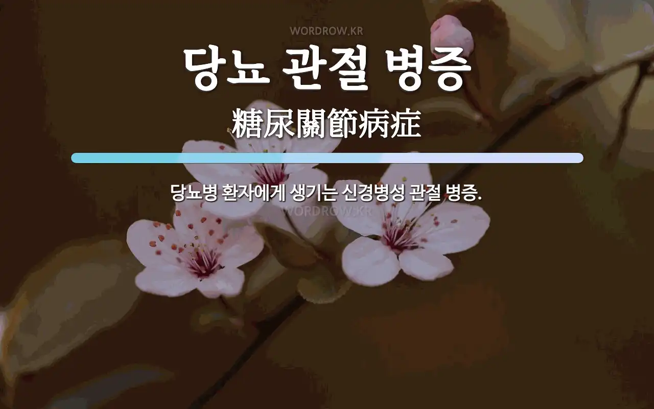 당뇨 관절 병증 뜻 당뇨병 환자에게 생기는 신경병성 관절 병증